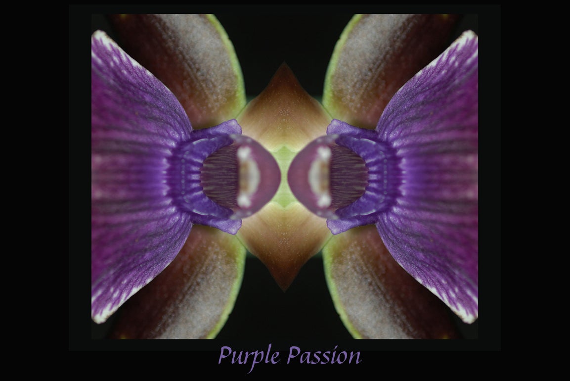 Fine Art Portfolio | NYC | Joyce Anderson Photography